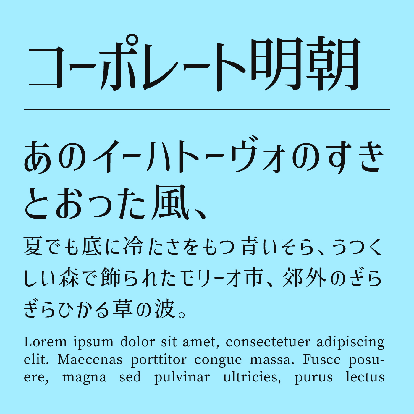 BIZ UDP明朝（BIZ UDPMincho） | フォントラボ